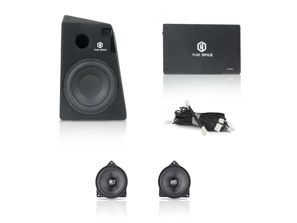 Tesla Model 3: Premium Audio Upgrade Kit (Subwoofer + Amp + 2 rear sur